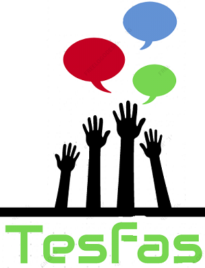 About – Tesfa Program